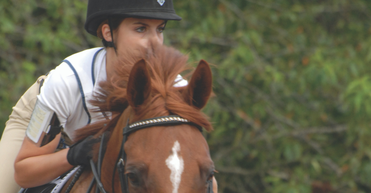 National Level Certifications in Pony Club – Pony Club Blog