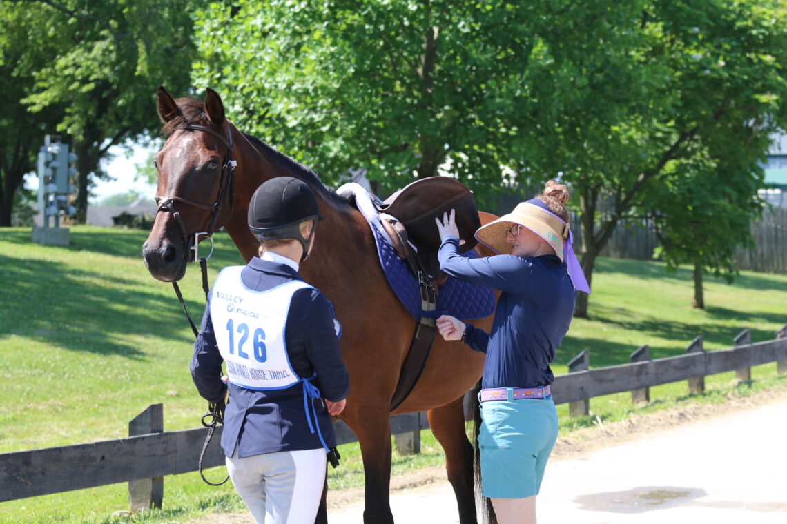 20 Tips on Turnout and Turnback Inspections and the Horse Inspection