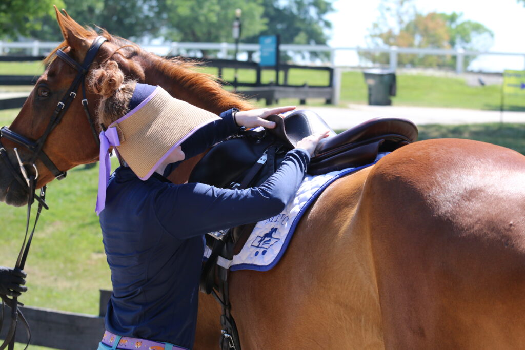 Pony Club Blog – Official Blog of the United States Pony Club