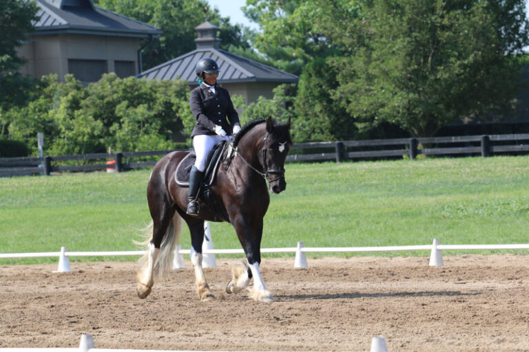 National Testing Feedback Project Helps Set Pony Club Members Up For ...