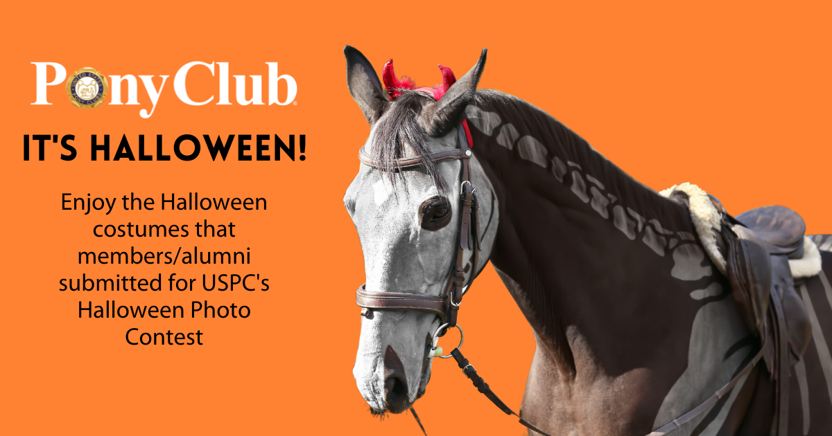 Pony Club Blog – Official Blog of the United States Pony Club