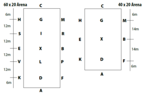 Dressage Through the Movements: Tips for Riding Through a Dressage Test