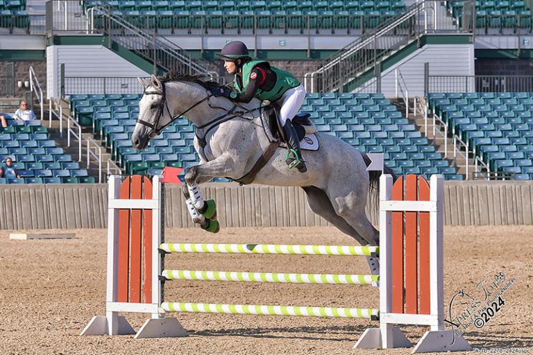 Pony Club Blog – Official Blog of the United States Pony Clubs