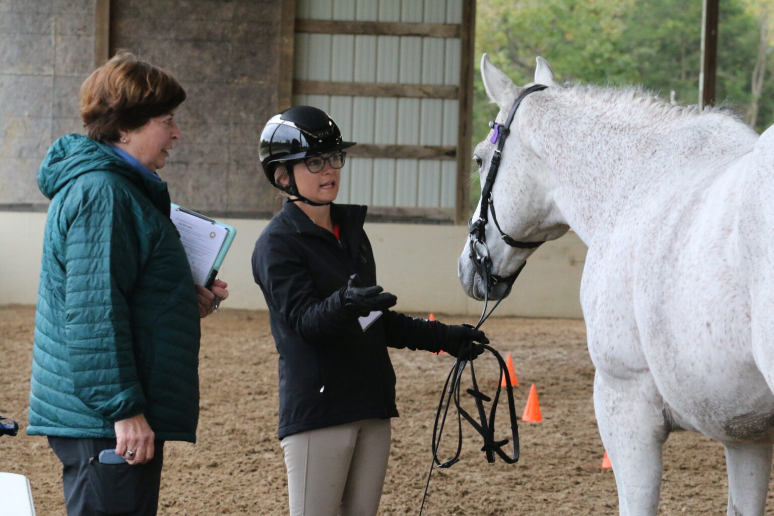 Pony Club Blog – Official Blog of the United States Pony Clubs